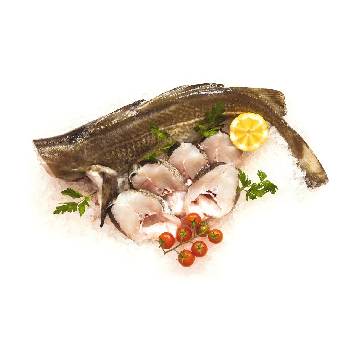 Merluzzo Nordico (Gadus Morhua) Pescato nell'Oceano Atlantico nord ...