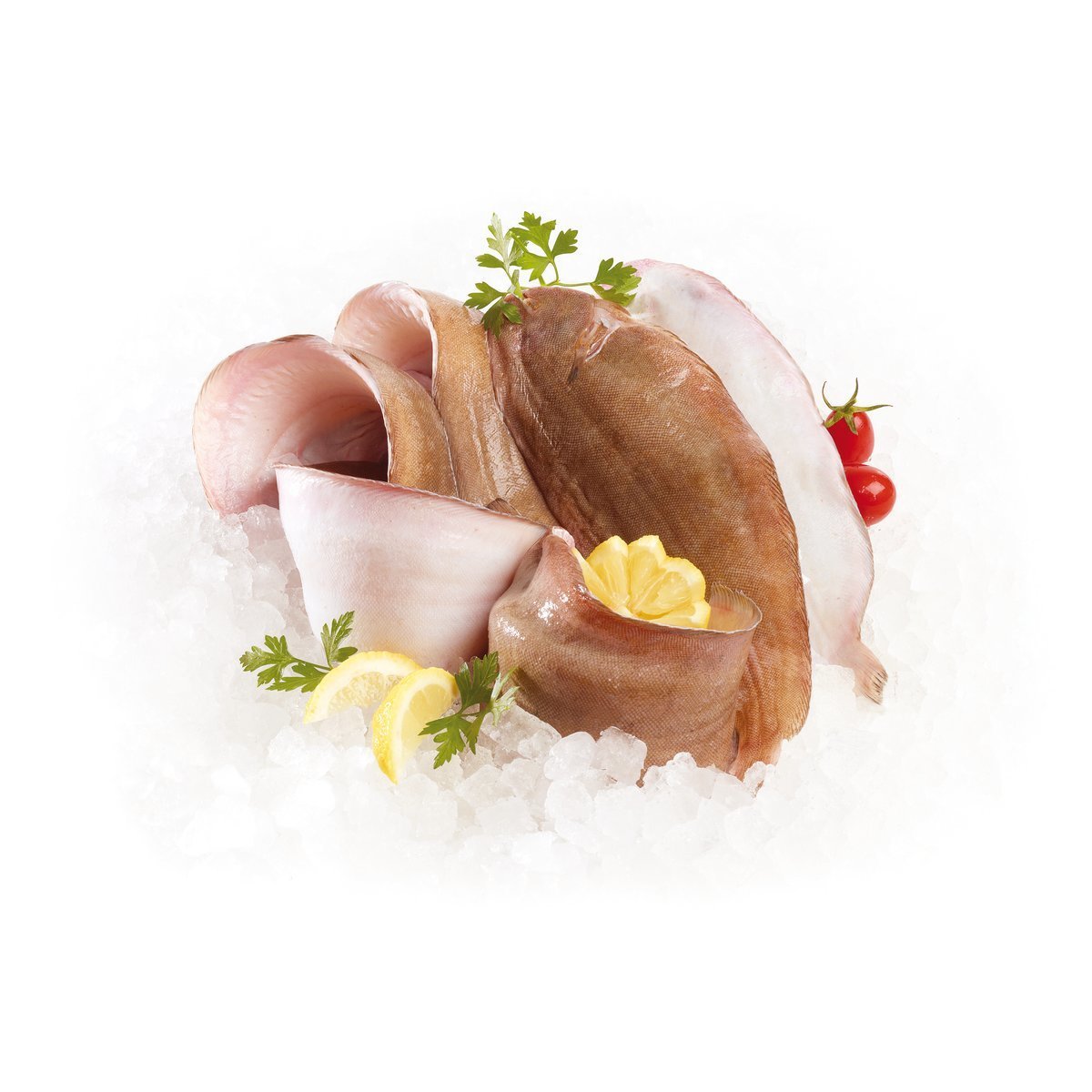 Sogliola (Solea Vulgaris) Pescato Oceano Atlantico. - Basko