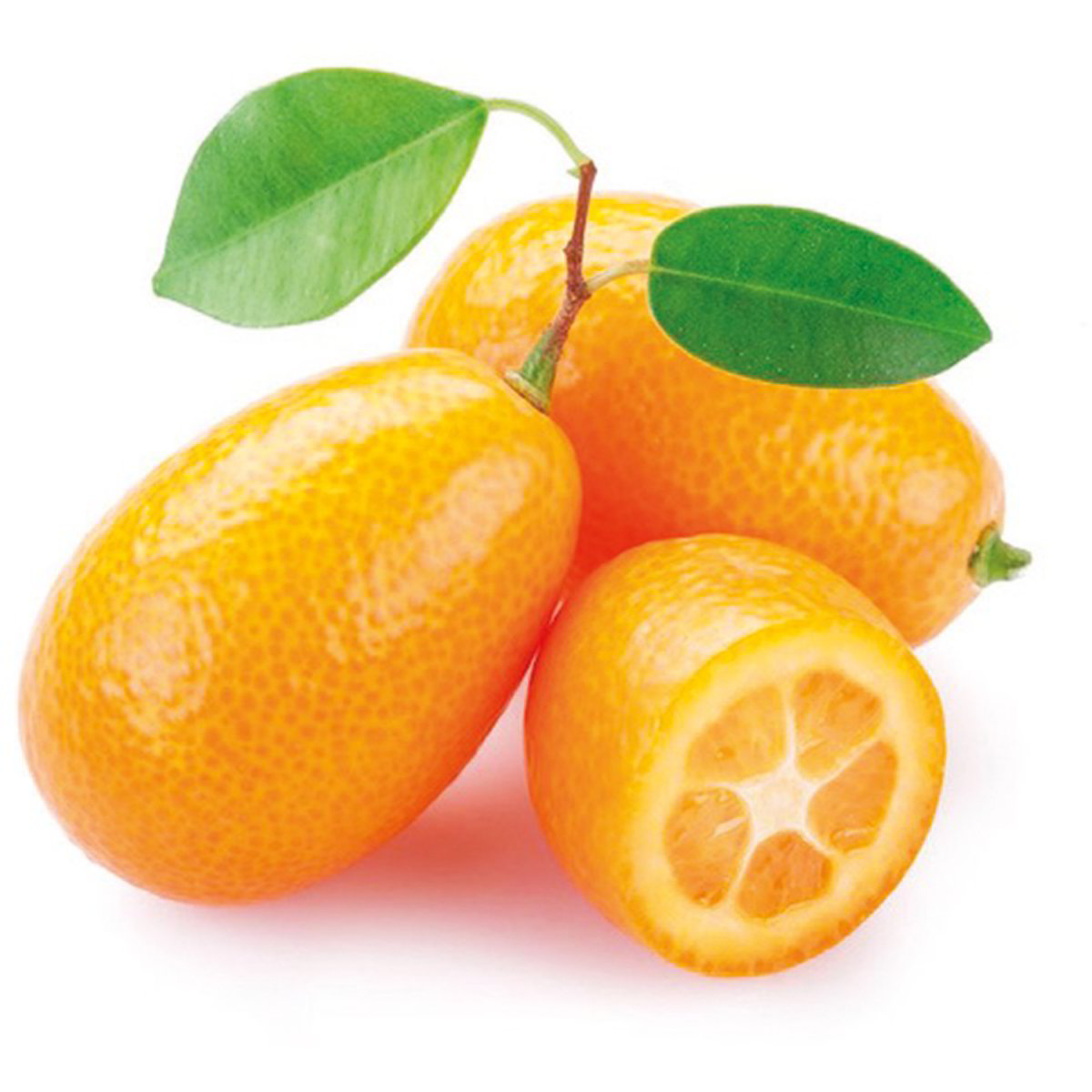 Kumquat 250 GR Origine Italia.Categoria II. - Basko
