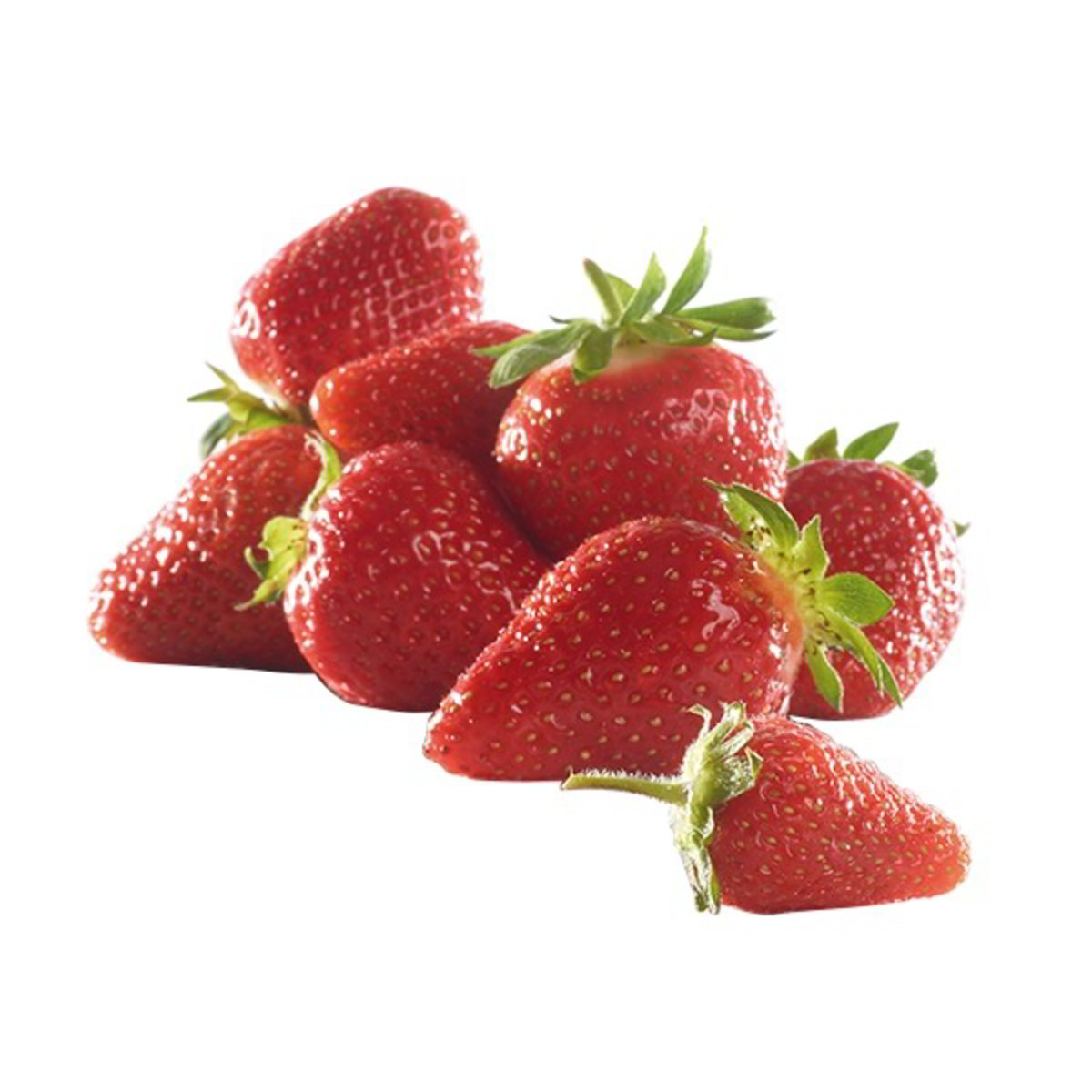 Fragole 500 GR Origine Italia - Basko